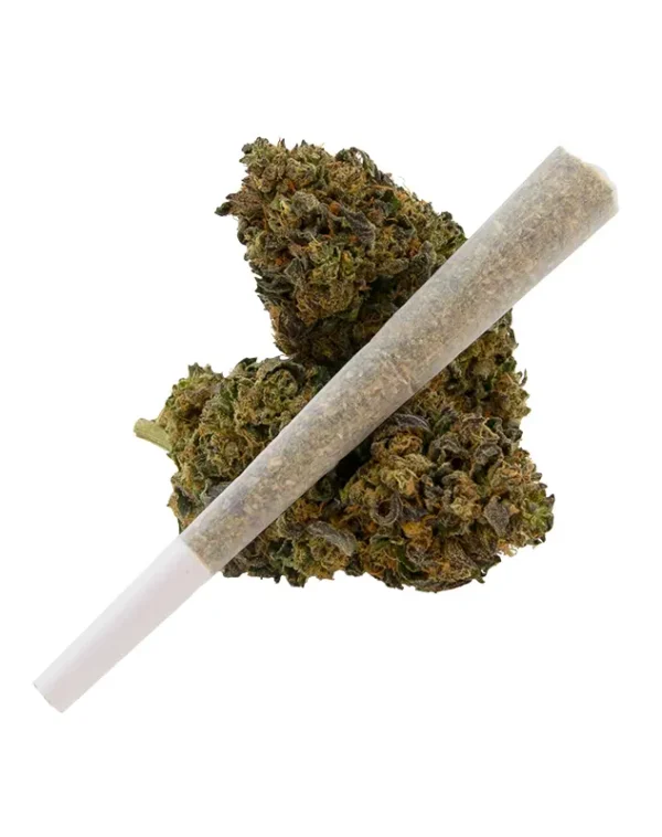 Premium Exotic 1.5g THCA Pre-Rolls - Hybrid - Skyhio